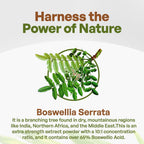Natural anti-inflammatory Boswellia supplement