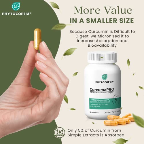 natural anti-inflammatory curcumin complex