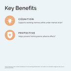 Natural anti-inflammatory curcumin formula