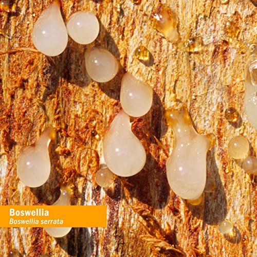 Natural anti-inflammatory liquid extract