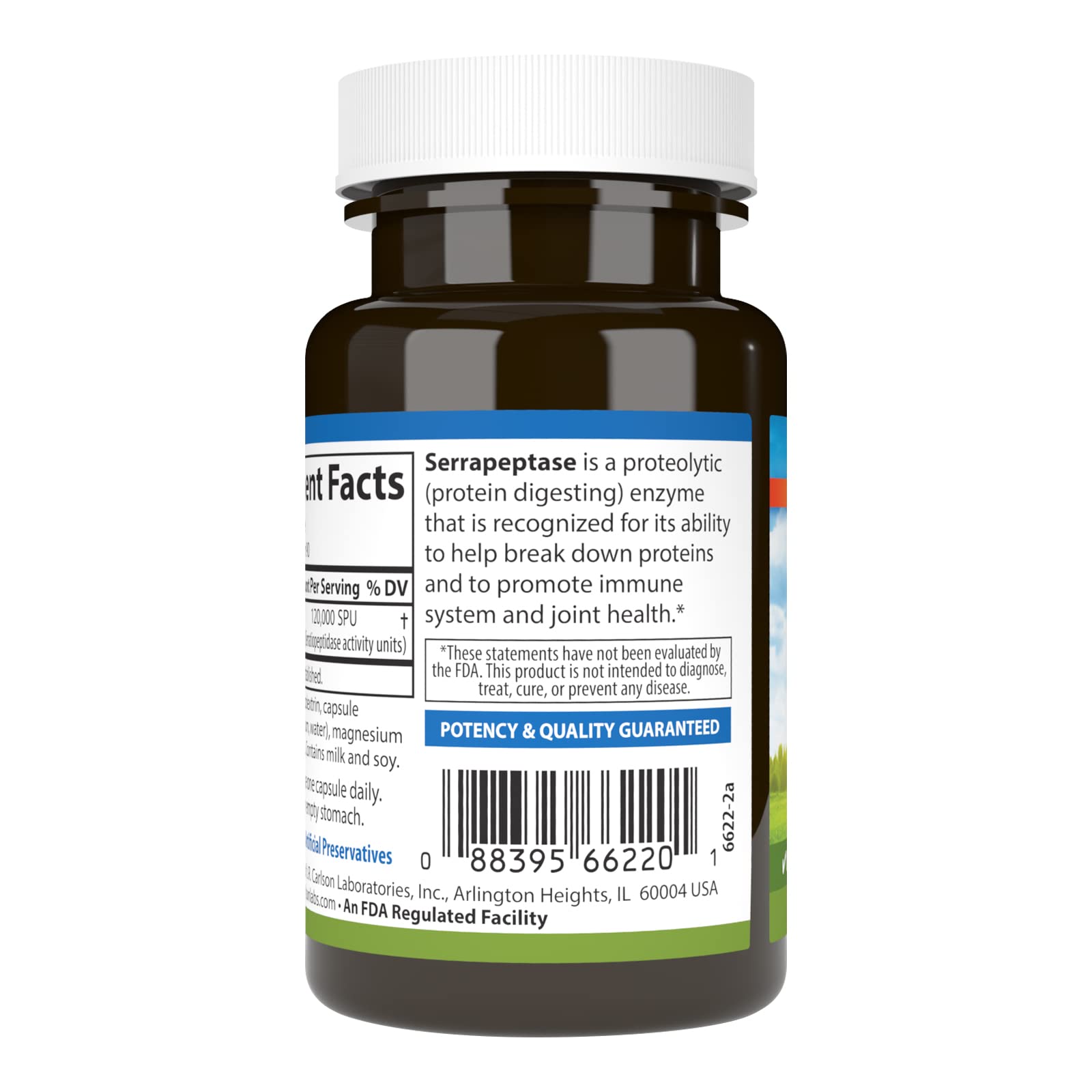 natural anti-inflammatory Serrapeptase supplement