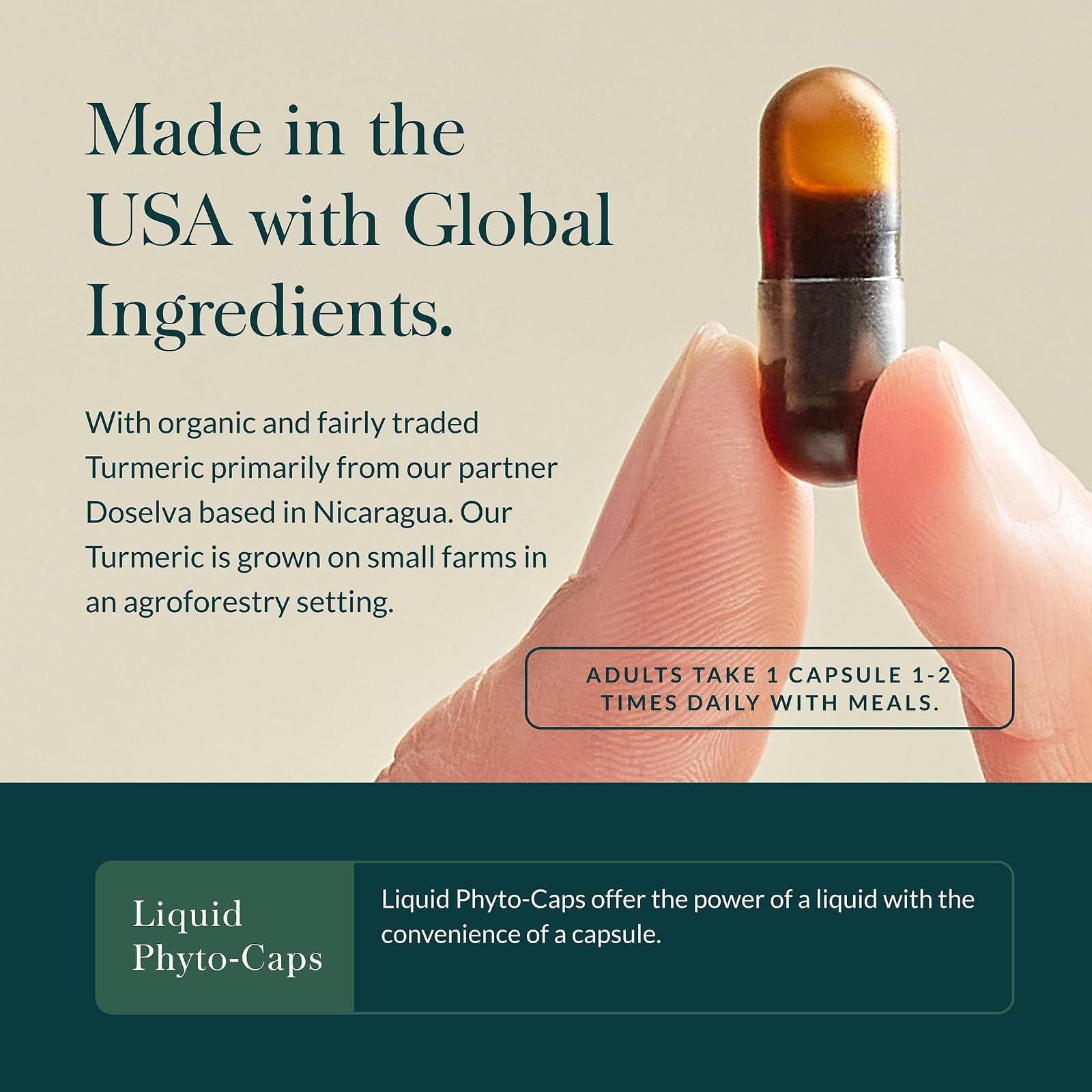 natural anti-inflammatory turmeric capsules