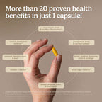 natural anti-inflammatory turmeric capsules