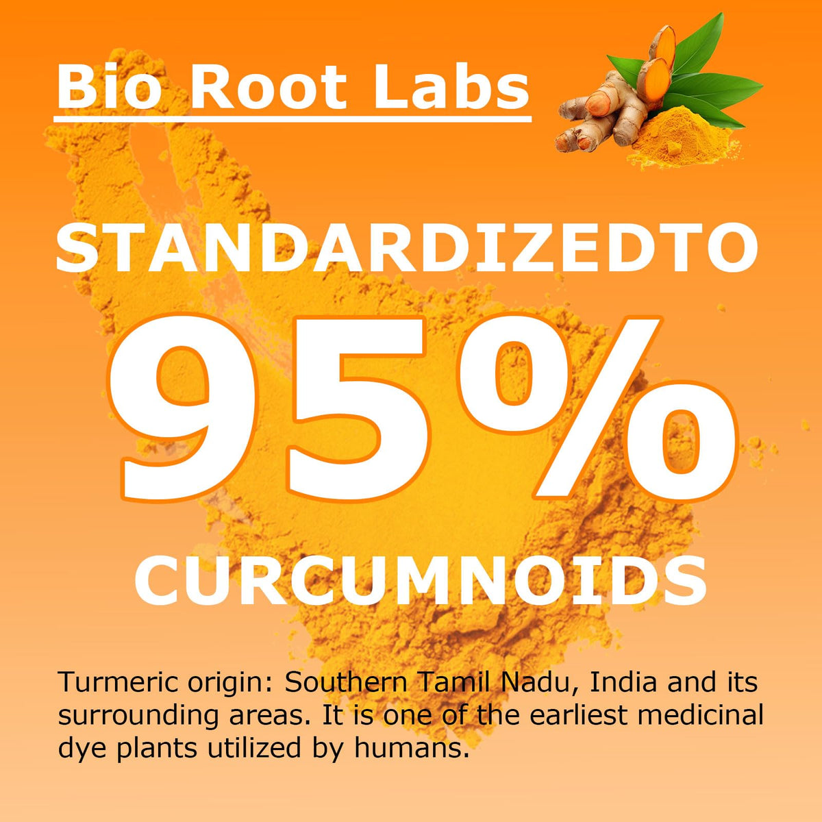 natural anti-inflammatory turmeric capsules