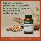 natural anti-inflammatory turmeric capsules