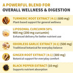 natural anti-inflammatory turmeric capsules