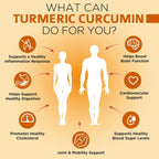natural anti-inflammatory turmeric curcumin