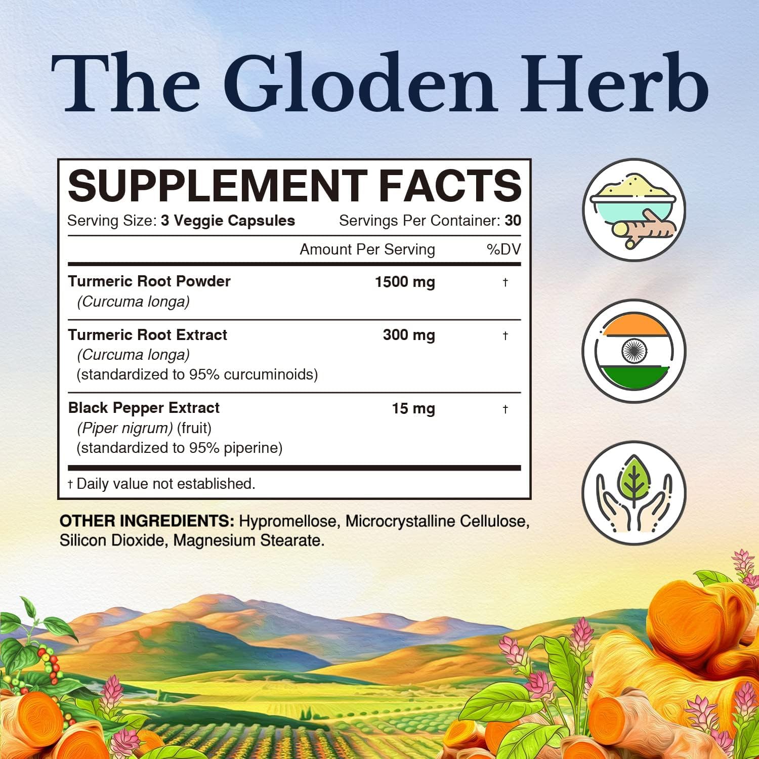 natural anti-inflammatory turmeric supplement