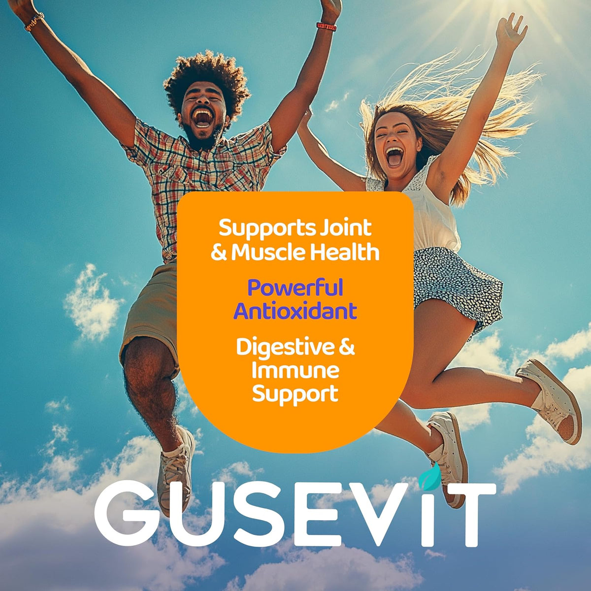 Natural anti-inflammatory turmeric supplement
