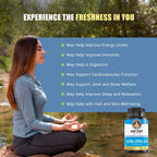 natural antioxidant alpha lipoic acid