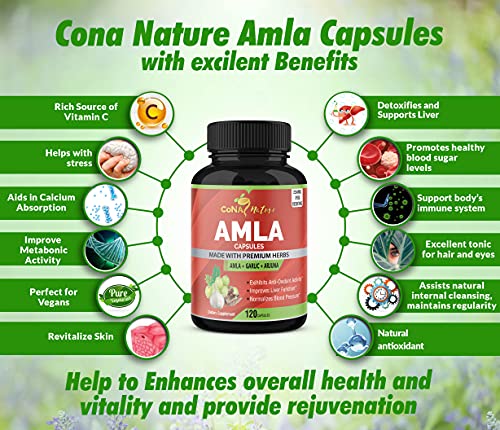 natural antioxidant amla capsules