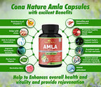 natural antioxidant amla capsules