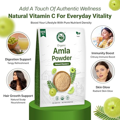 natural antioxidant amla powder benefits
