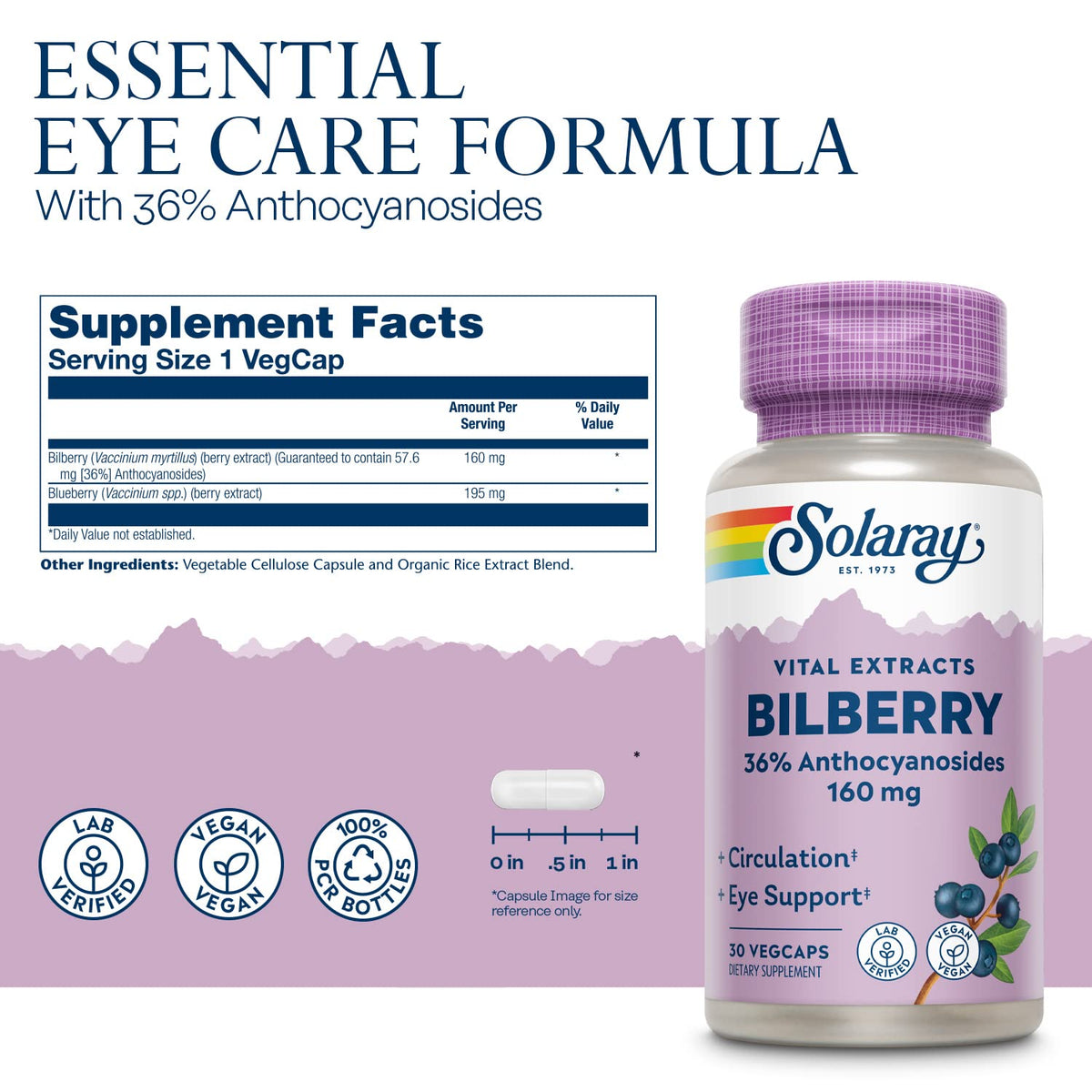Natural antioxidant bilberry supplement