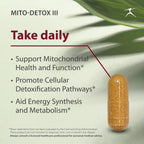 natural antioxidant blend for wellness