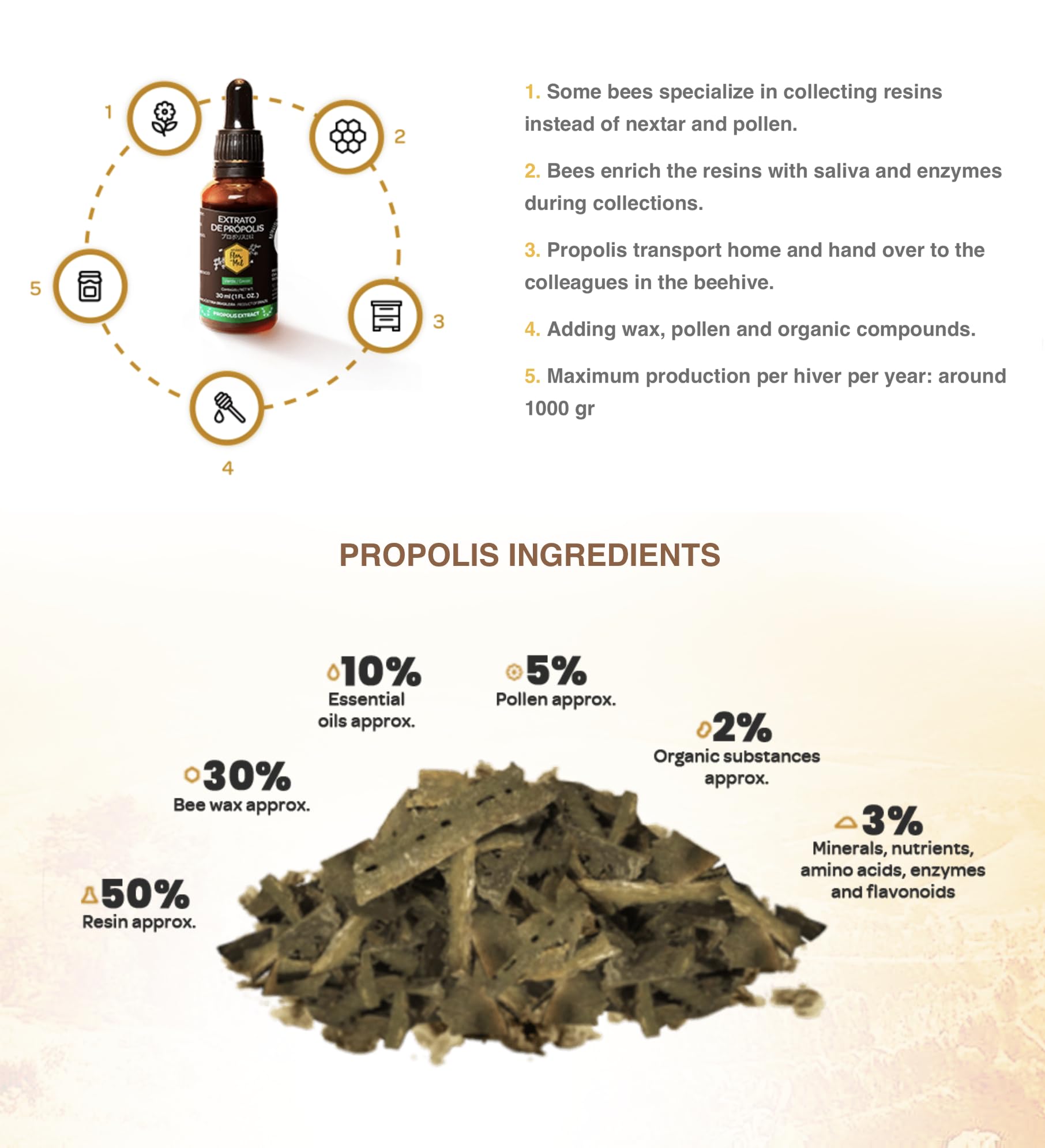 Natural antioxidant boost supplement