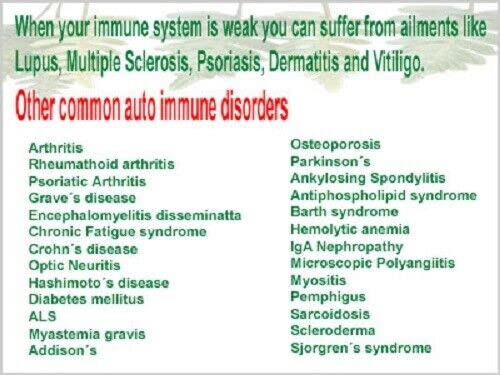 Natural antioxidant Calaguala supplement
