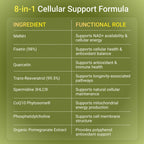 natural antioxidant capsules for vitality