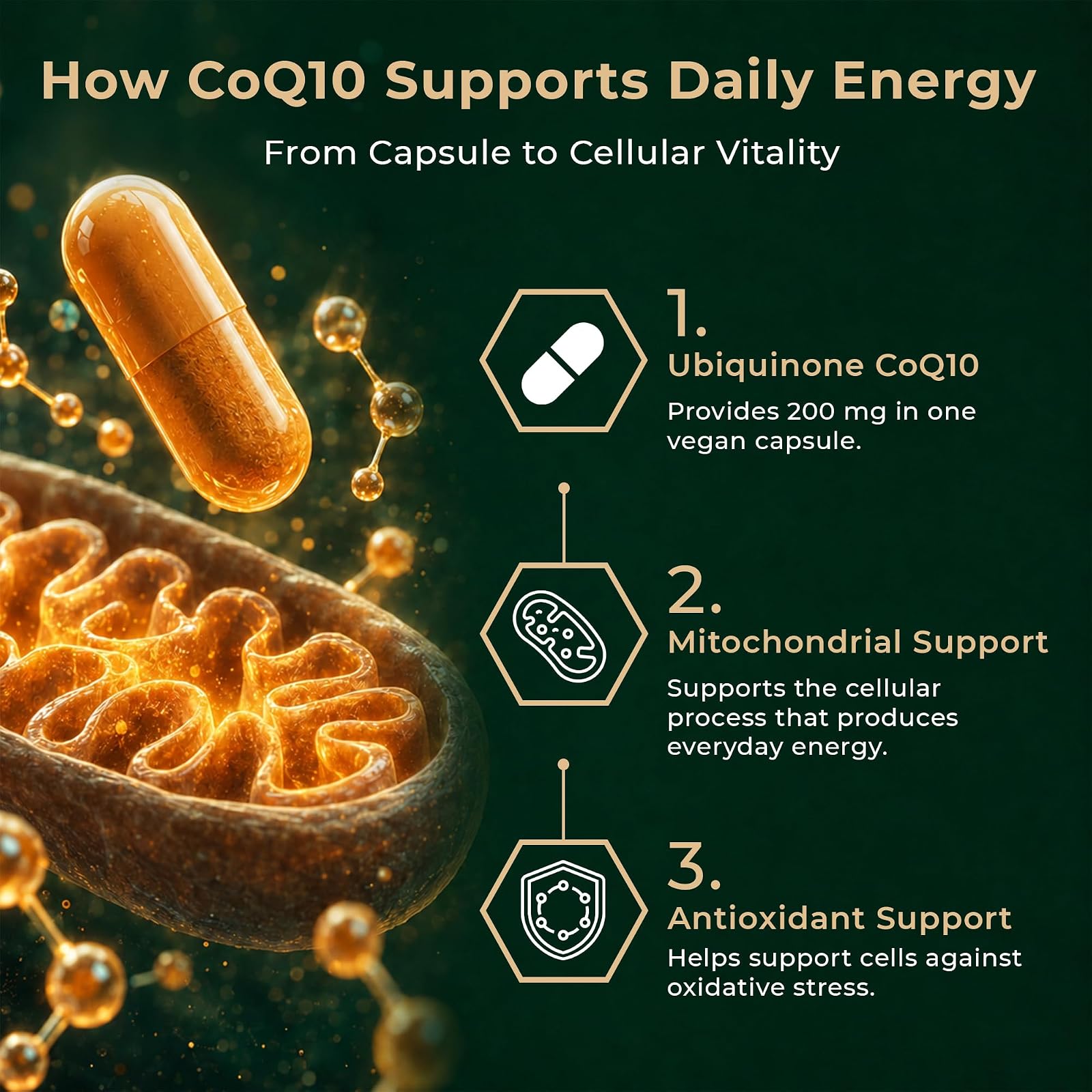 natural antioxidant CoQ10 capsules