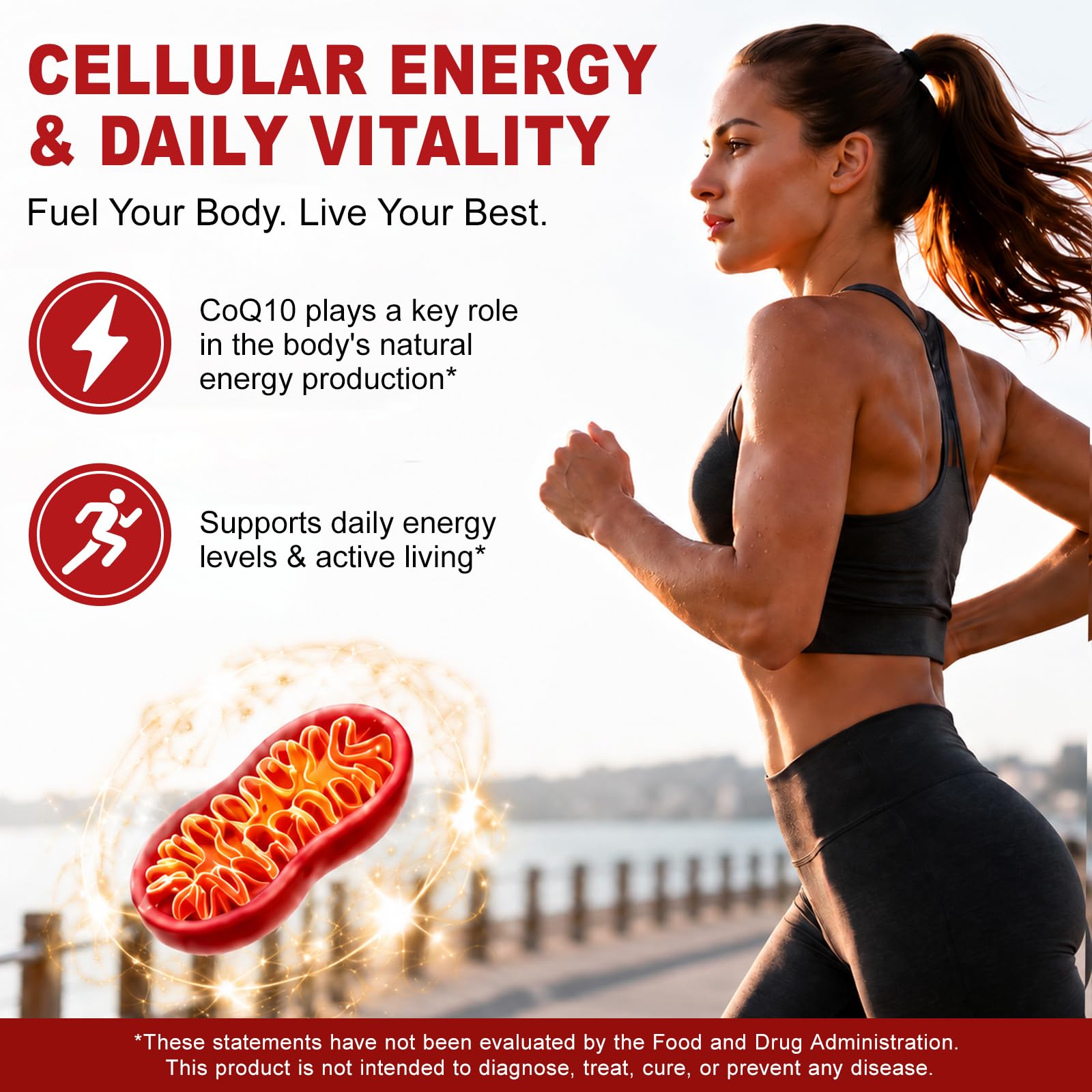 Natural antioxidant CoQ10 supplement