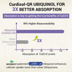 natural antioxidant coq10 ubiquinol