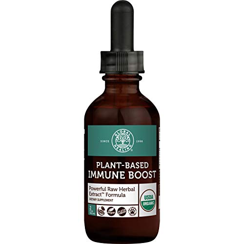 natural antioxidant elderberry extract