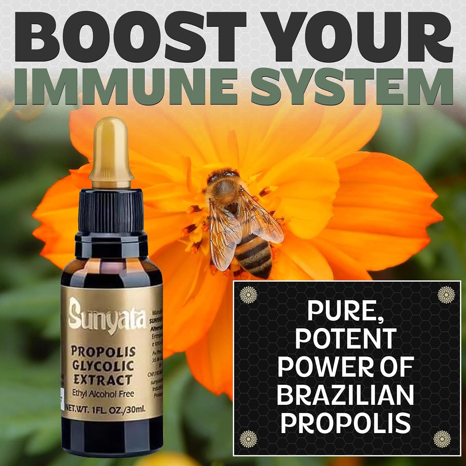Natural antioxidant flavonoid extract