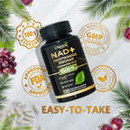 Natural antioxidant for daily wellness