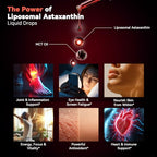 Natural antioxidant for daily wellness