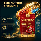 natural antioxidant for endurance