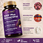 Natural antioxidant for immune support