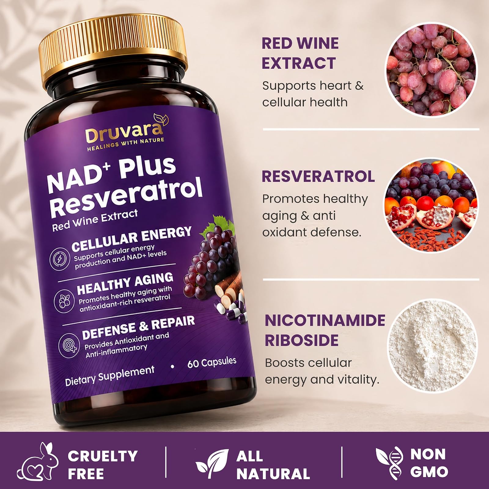Natural antioxidant for immune support