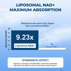 Natural antioxidant for overall wellness