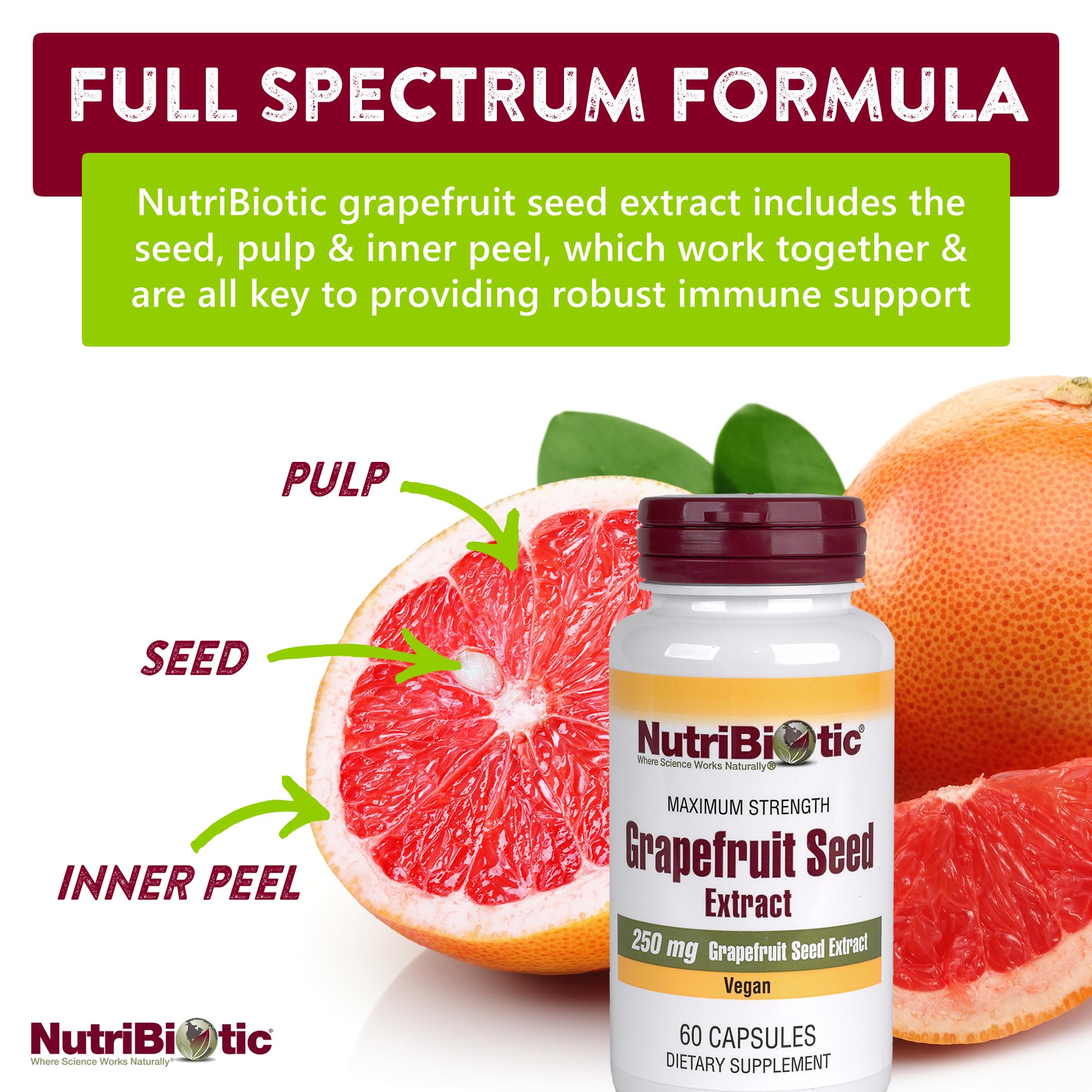 natural antioxidant grape seed extract