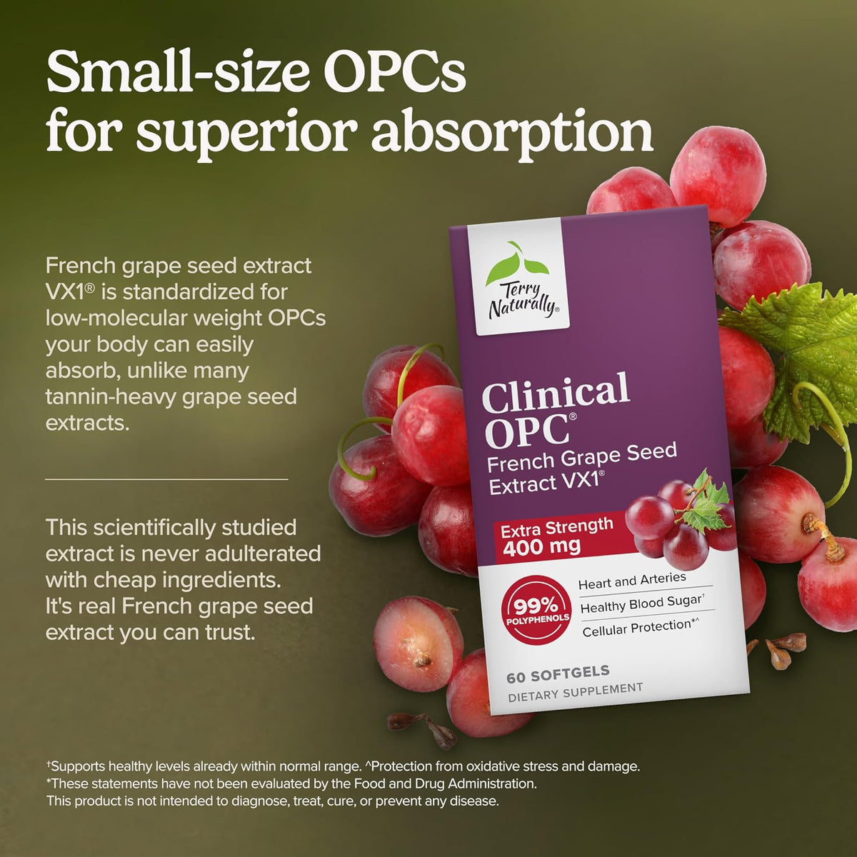 Natural antioxidant grape seed extract