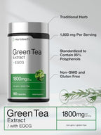 natural antioxidant green tea extract