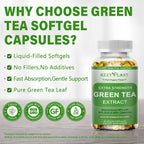 natural antioxidant green tea extract