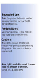 natural antioxidant green tea extract