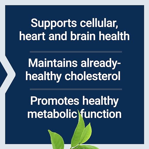 natural antioxidant green tea extract