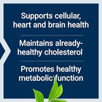 natural antioxidant green tea extract