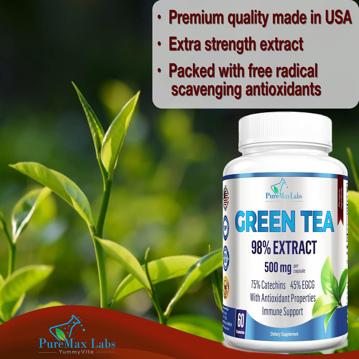 natural antioxidant green tea extract