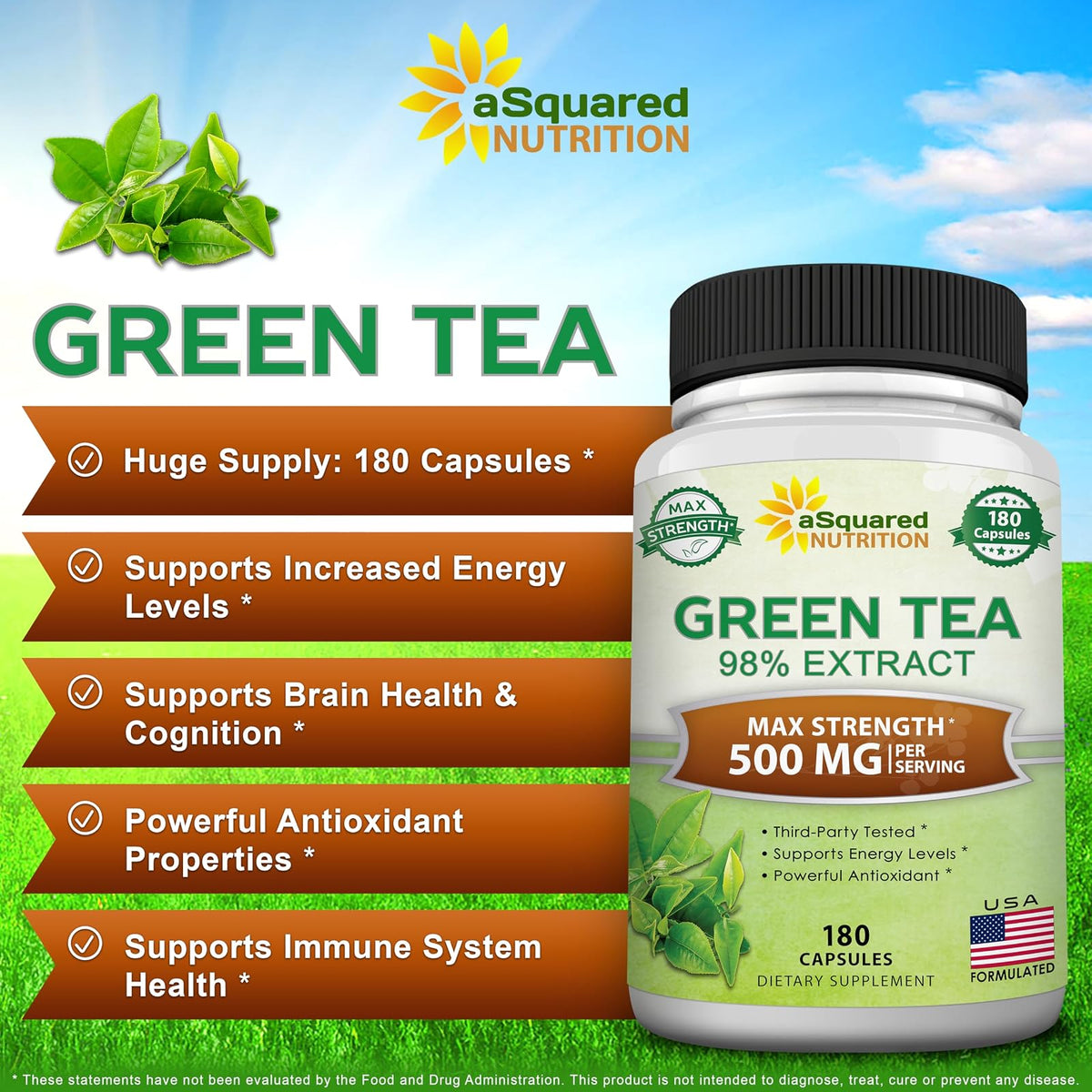 natural antioxidant green tea extract