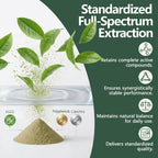 Natural antioxidant green tea