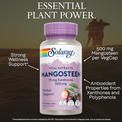 Natural antioxidant mangosteen extract