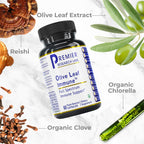 natural antioxidant olive leaf extract