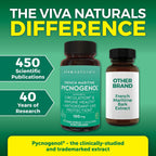 natural antioxidant pine bark extract
