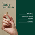 Natural antioxidant Quercetin supplement