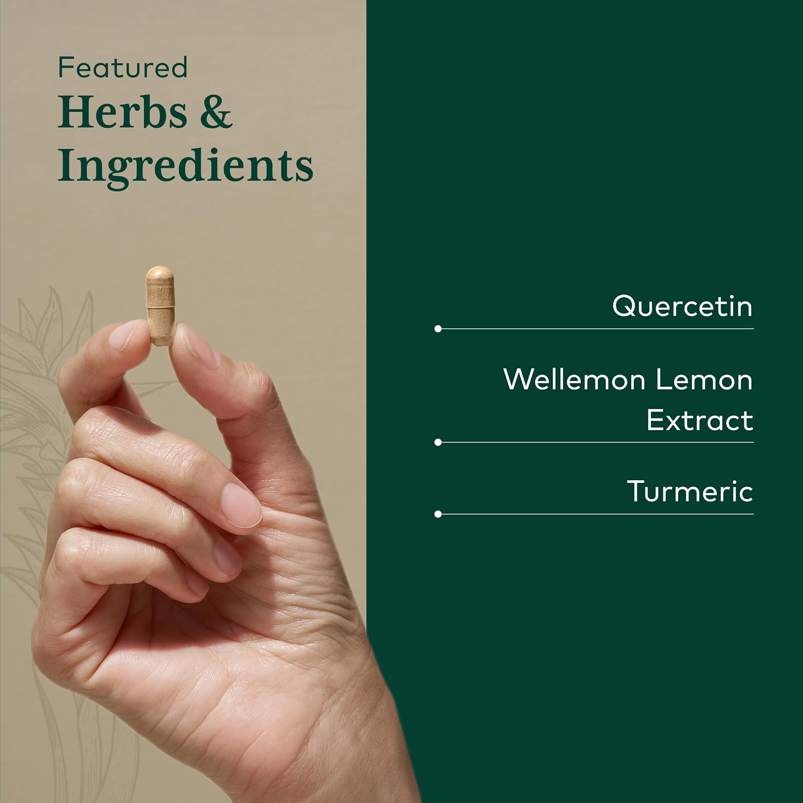 Natural antioxidant Quercetin supplement