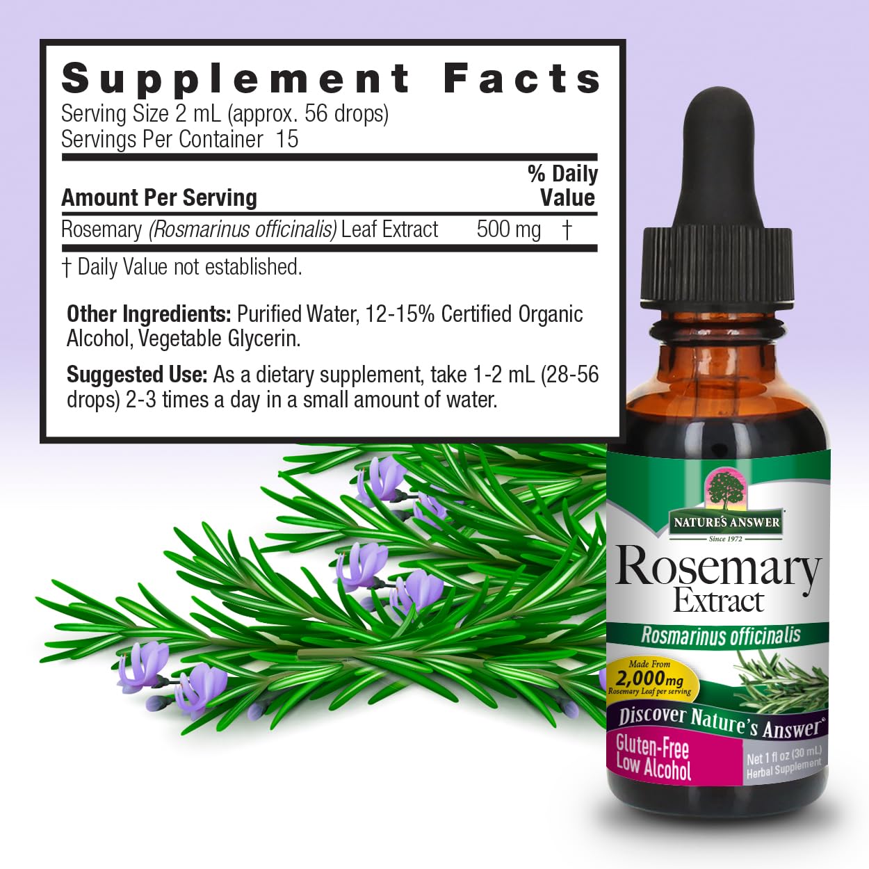 Natural antioxidant rosemary leaf extract