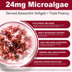 Natural antioxidant supplement Astaxanthin